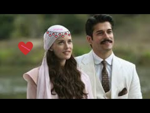 Çalıkuşu Dizi Klip l Hercai bir Adam ile Gülbeşeker bir Kızın Aşkı!❤️‍🔥🦋💑