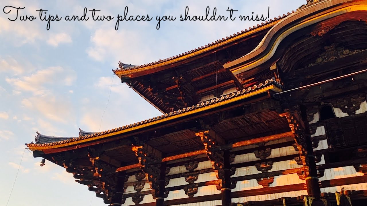 This video makes your Nara trip PERFECT!! - YouTube