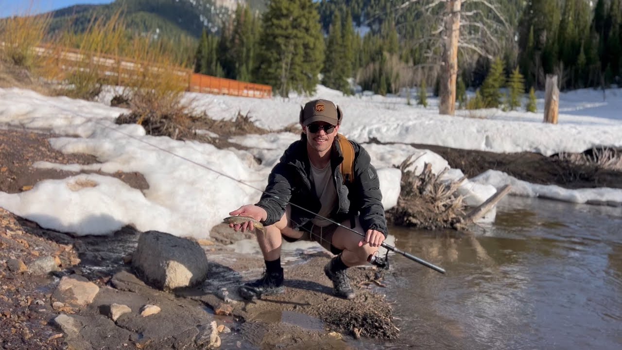 FISHING for Beautiful BROWN TROUT in the Utah Mountains! - YouTube