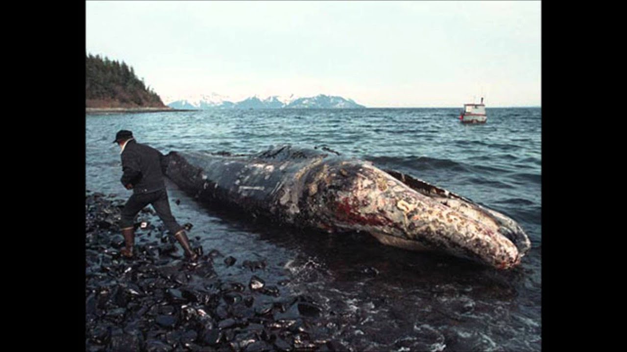 Water Pollution PSA - YouTube