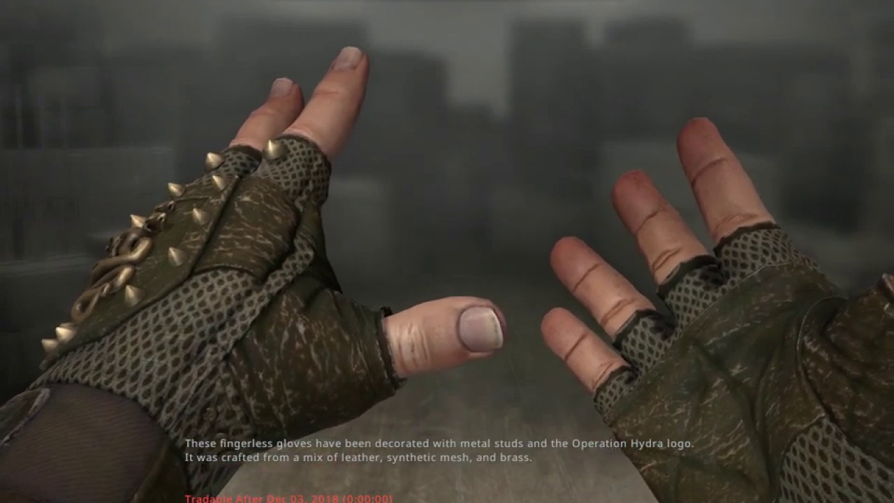 Hydra Gloves | Mangrove - Field-Tested - YouTube