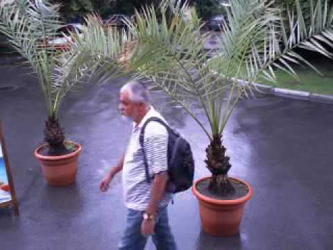 Ciprian Gabriel Live Stream - YouTube