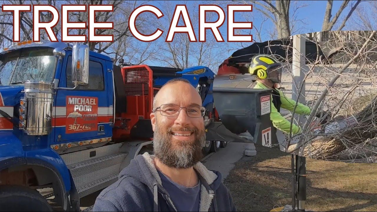 Tree Care | Mr. Ryan Learning - YouTube