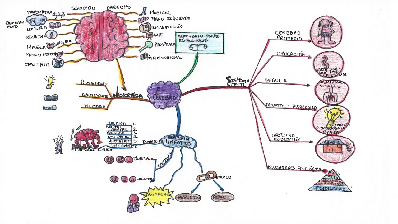 What is aaox3 | information about orientation (mental) - YouTube