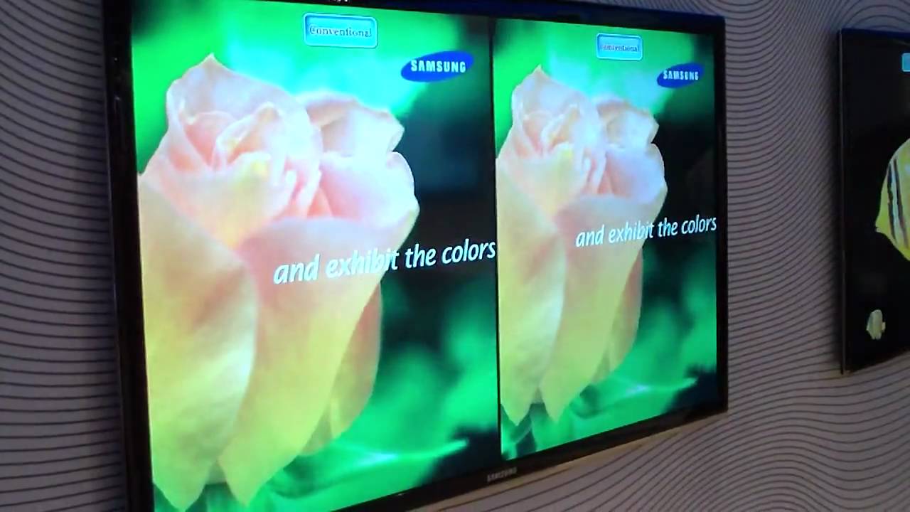 Samsung Wide Color Gamut LCD Demo @ CES 2010 - YouTube
