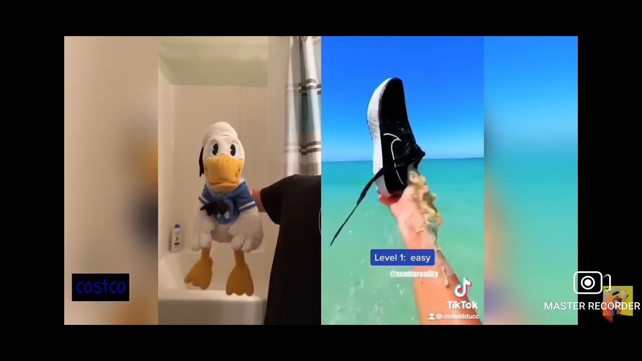 donaldducc mini compilation #2 - YouTube