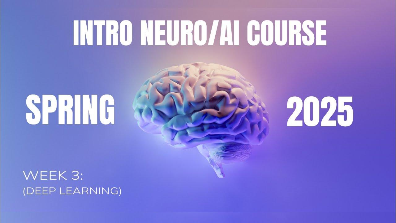 Deep Learning | Week 2 to the Intro Neuro/AI Course Spring 2025 - YouTube