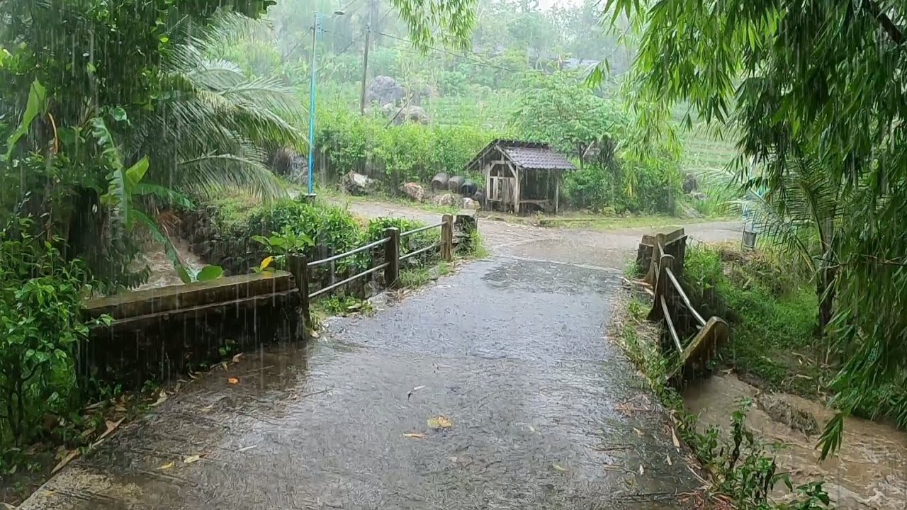 heavy rainfall in a beautiful remote village - YouTube