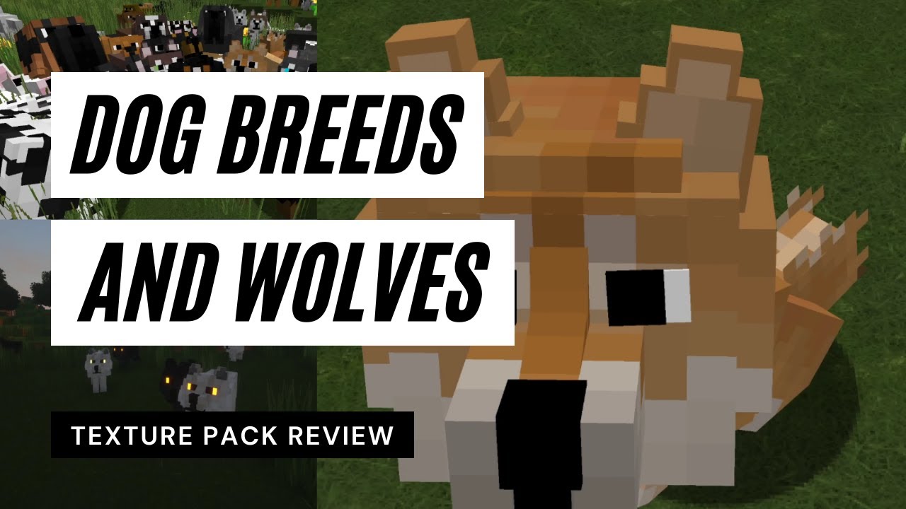 Better Dogs Resource/Texture Pack Review - YouTube