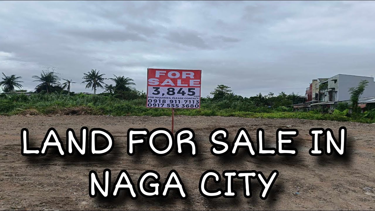 PRICE FOR 24,500 SQUARE METERS OF LAND NAGA CITY #CAMARINES SUR ...