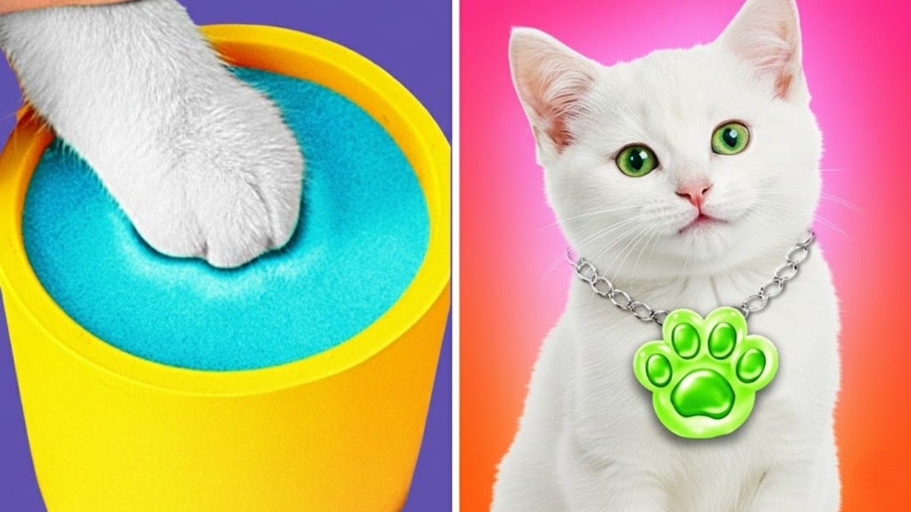 TikTok GADGETS for your CAT! Hacks to SNEAK a CAT HOME | Tricks for PET OWNERS by La La Life ...
