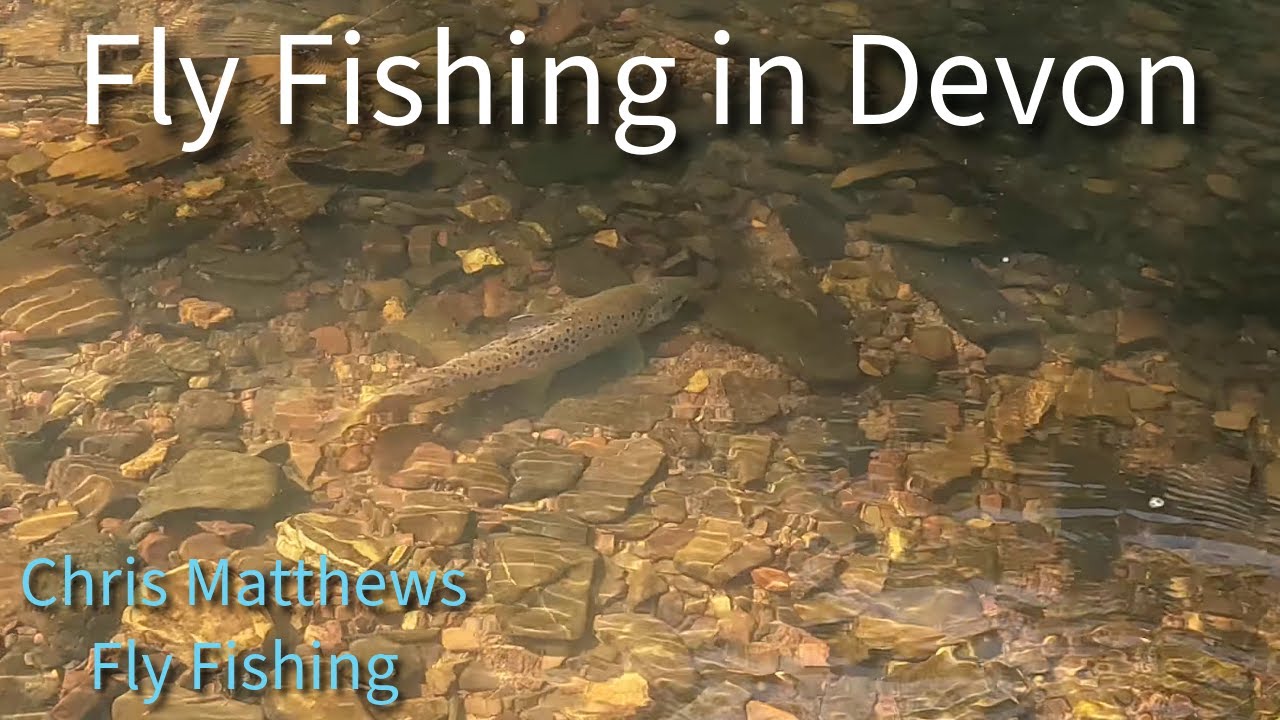 Challenging Trout (Fly Fishing the river Yeo) - YouTube