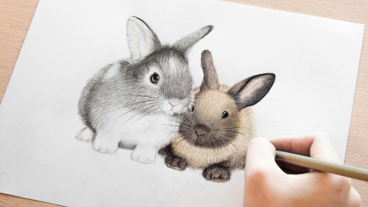 DRAWING • Bunnies - YouTube