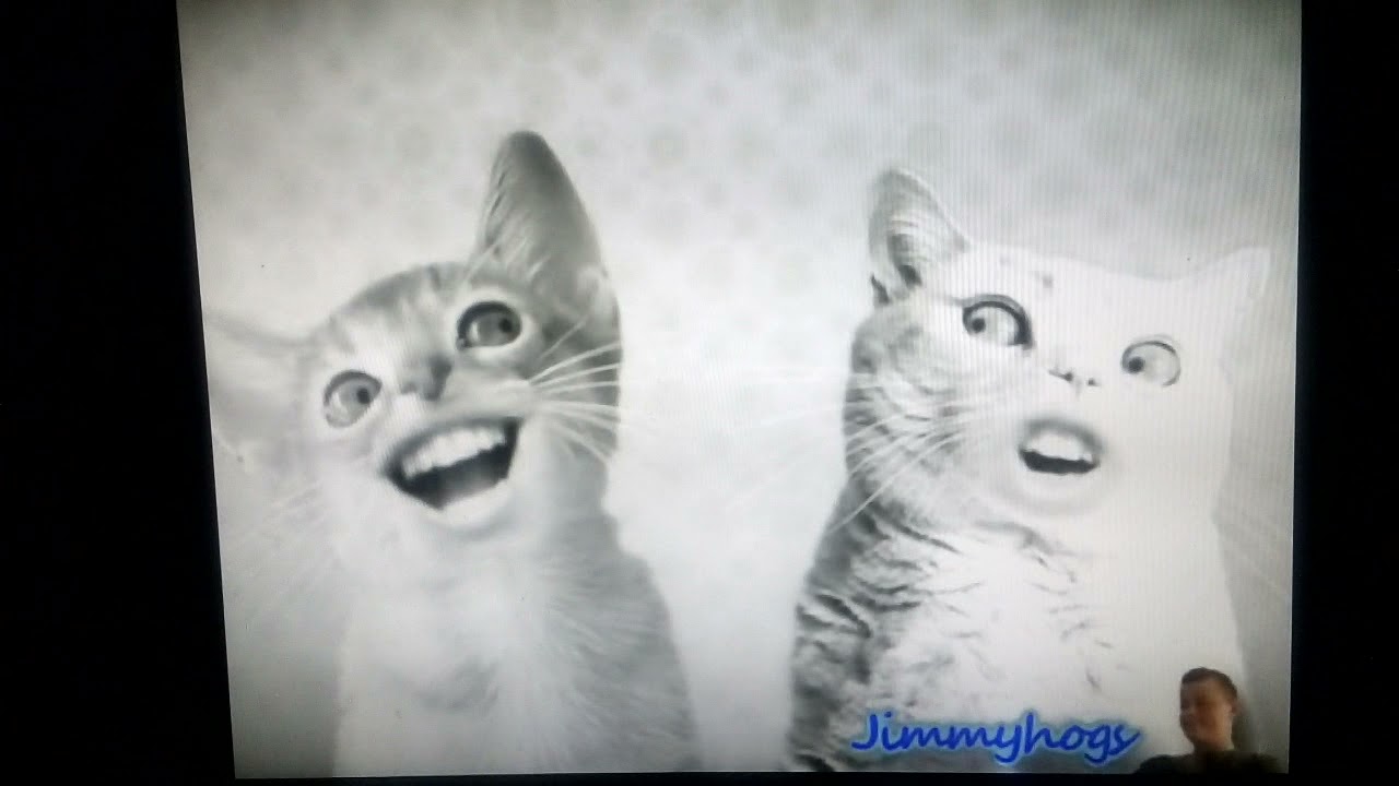 Preview 2 Numa Cat Effects in G major Invert black AND white reversed ...