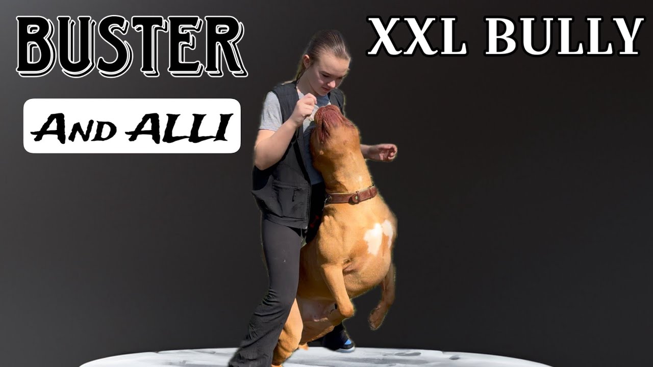 XL BULLY BUSTR WILL MISS ALLI #xlbully #xlamericanbully #xxlbully - YouTube