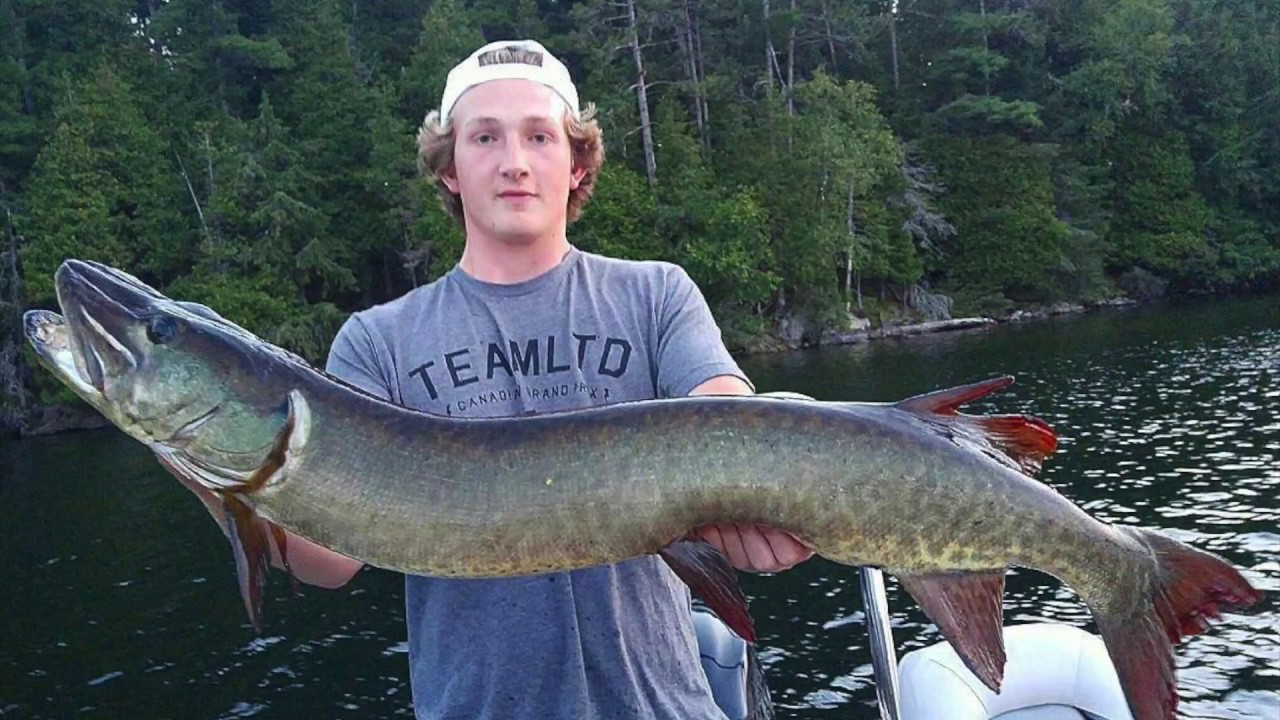 2 1/2 Huge Muskies - YouTube