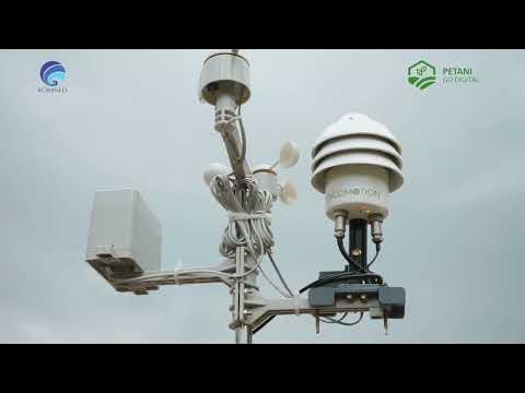 Pemasangan Sensor Cuaca dan Drip Irrigation Digital di Kab Kediri - YouTube