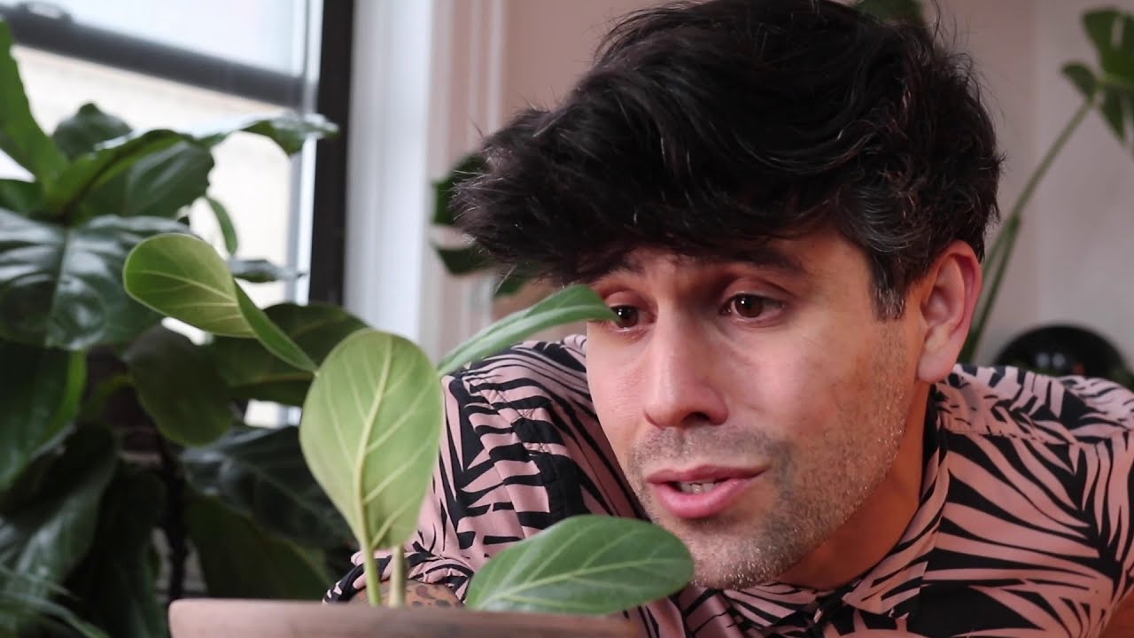 JERRY'S PLANT FRIENDS - HOW TO TAKE CARE OF PROBLEMATIC PLANTS! - YouTube