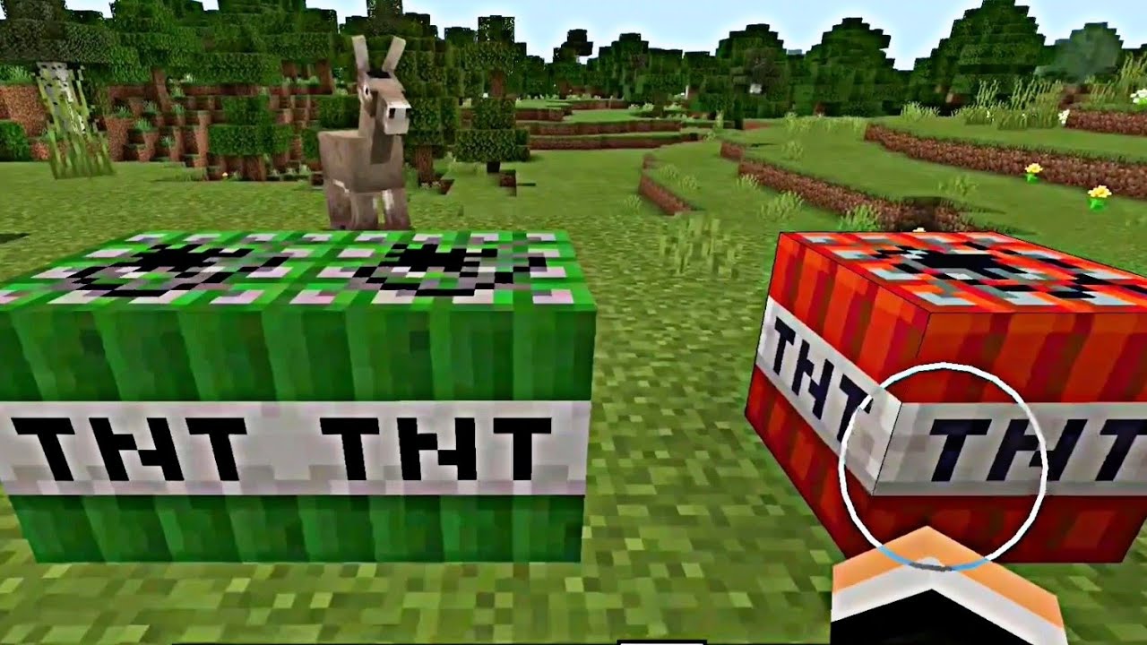Red Tnt VS Green Tnt🔥🔥🔥 - YouTube