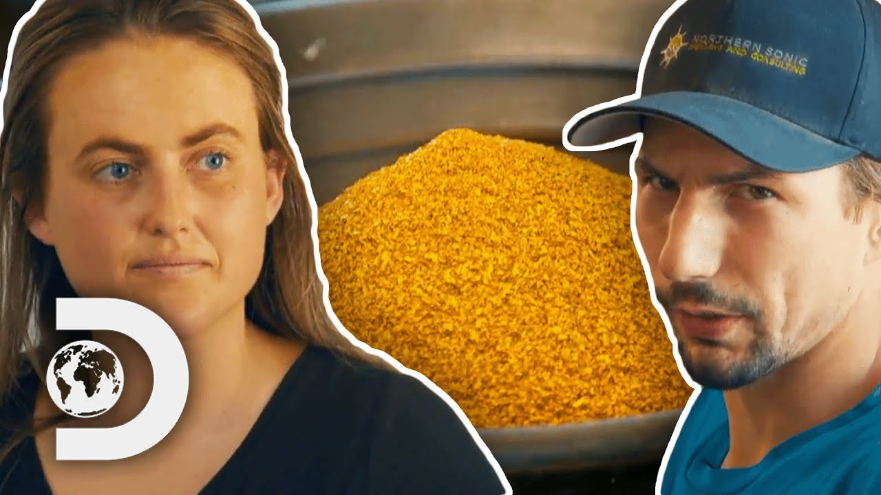 Parker Hires Tyler Mahoney To Assist With 'Gold Blitz' | Gold Rush ...