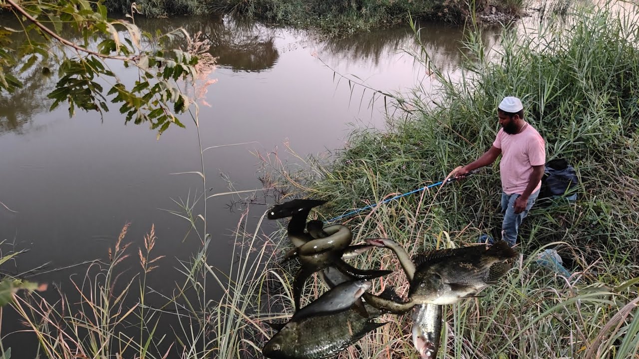 bam fishing - YouTube