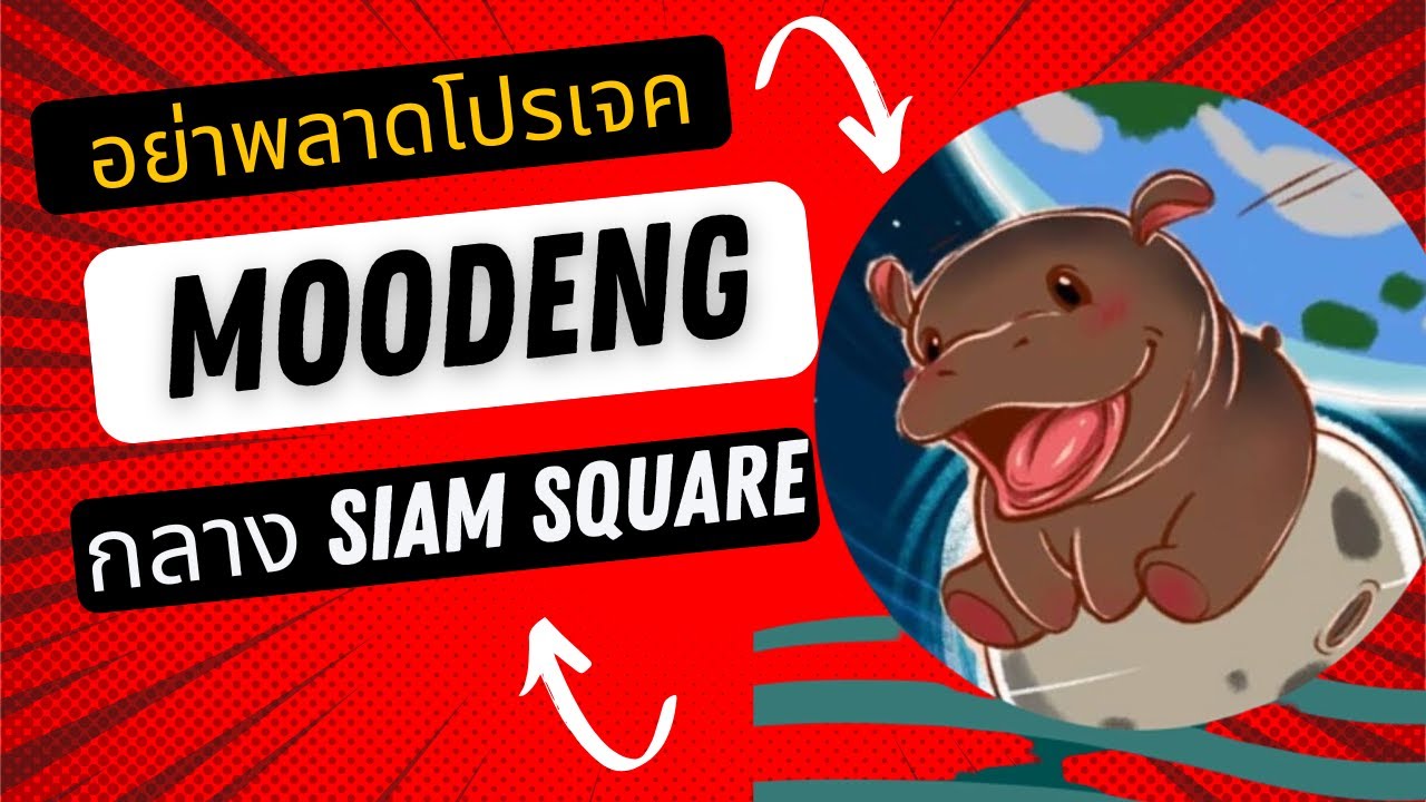 อย่าพลาด!! โปรเจค MOODENG กลาง SIAM SQUARE - YouTube