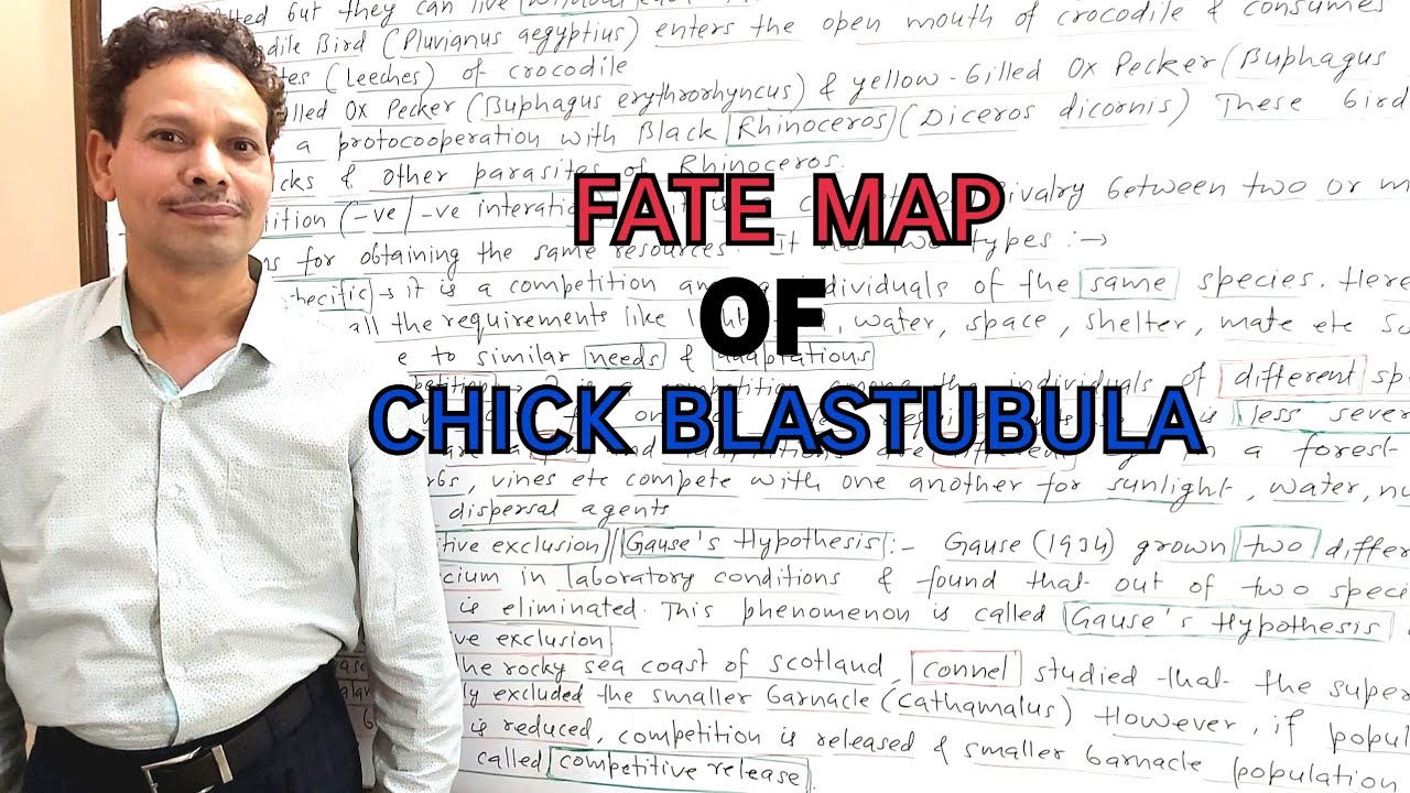 Fate Map of Chick Blastula | For IAS,NEET,GATE,NET and BSc - YouTube
