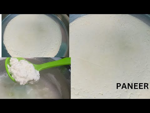 PANEER| How to make Panner at home| Panner recipe| Homemade Panner ...