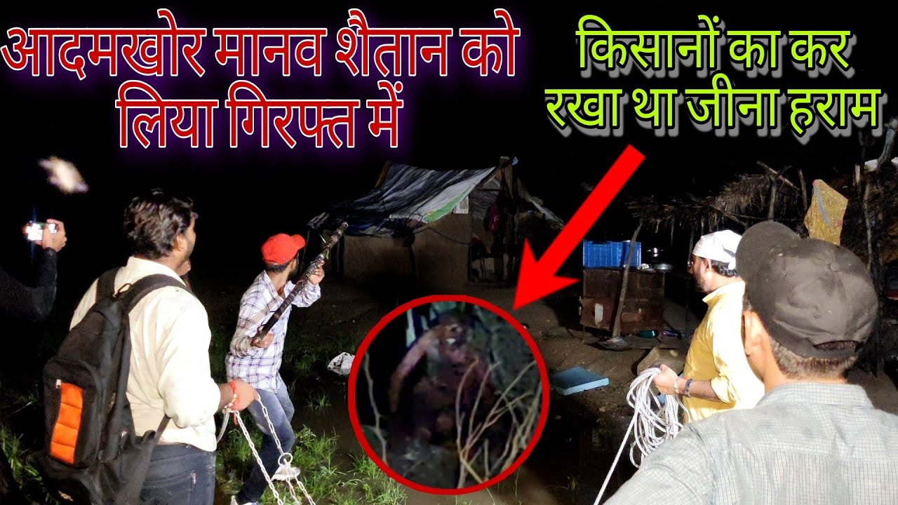 AADAMKHOR MANAV SHAITAN || हाथी से भी ताकतवर निकला आदमखोर मानव शैतान ...