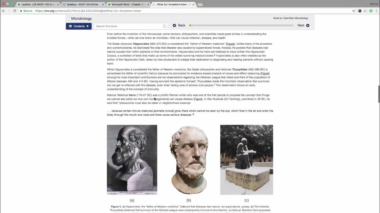 OpenStax Book - YouTube