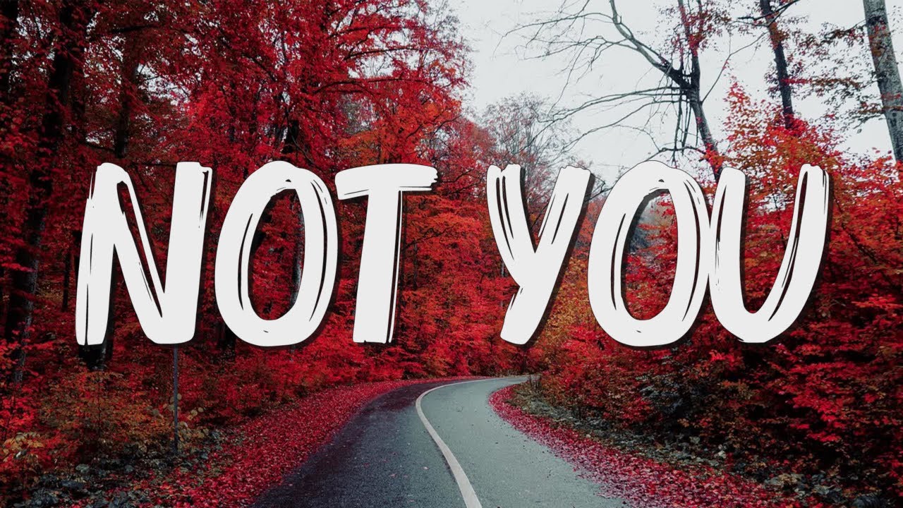 Not You - Alan Walker & Emma Steinbakken (Lyrics) - YouTube