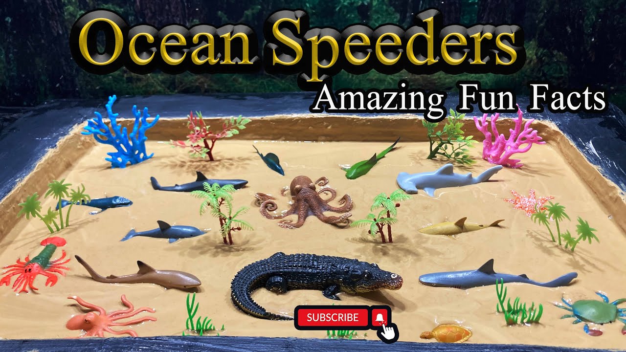 Ocean Speeders!🦈🪸 Who's The Fastest In The Ocean?🐬🌿 Meet The Fastest ...