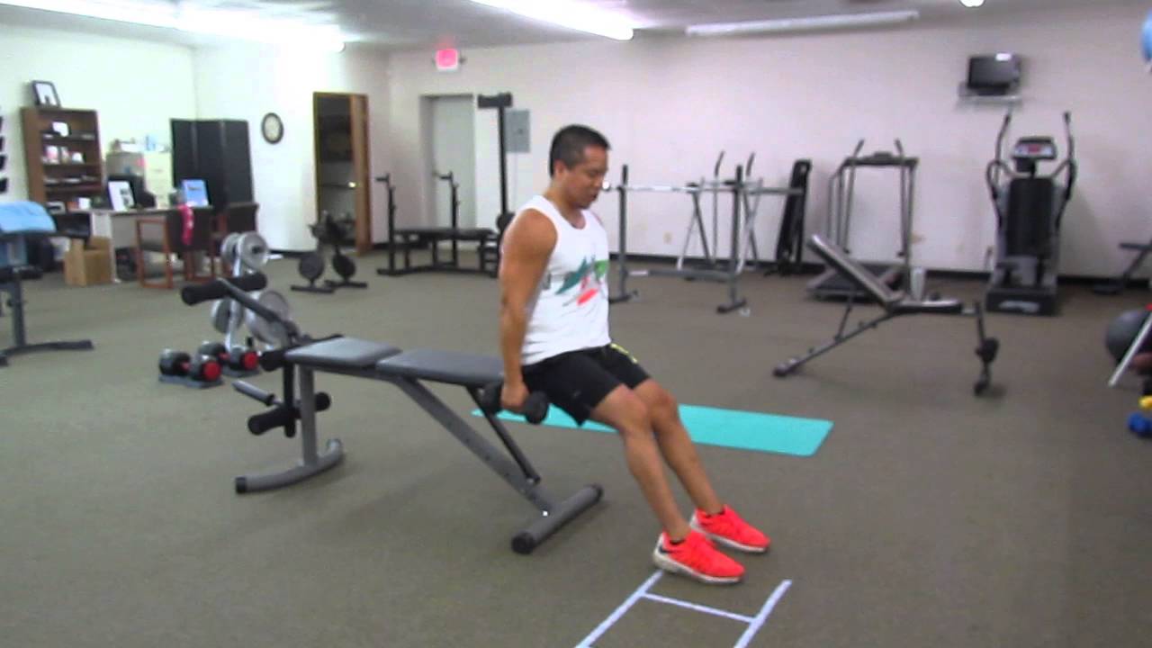 Seated Dumbbell Reverse Fly - YouTube