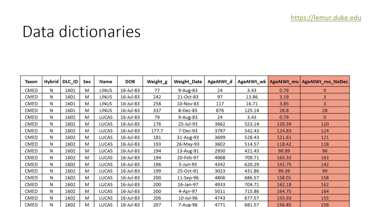 Module 6: Describing Data - YouTube