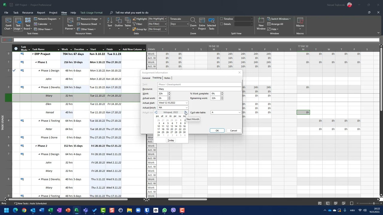 67. Actual work for particular resource - Microsoft Project Online ...