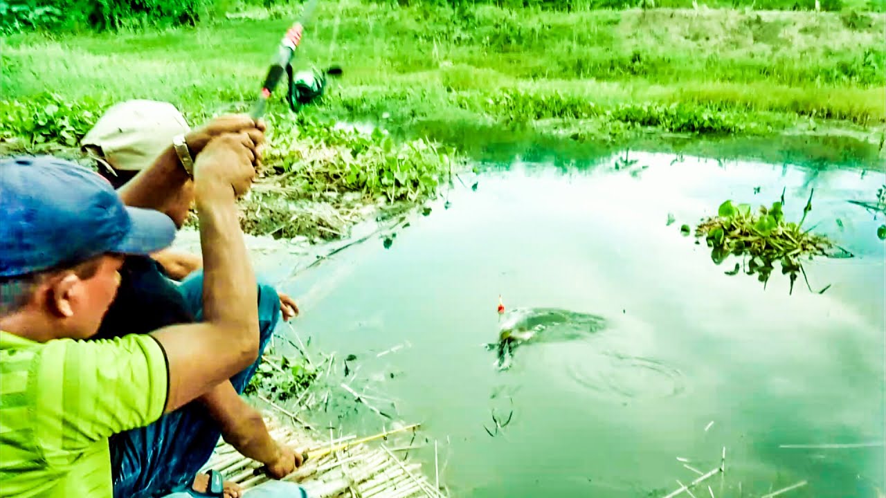 fishing video.paroler fish catching by hook.boys fish hunting in the ...