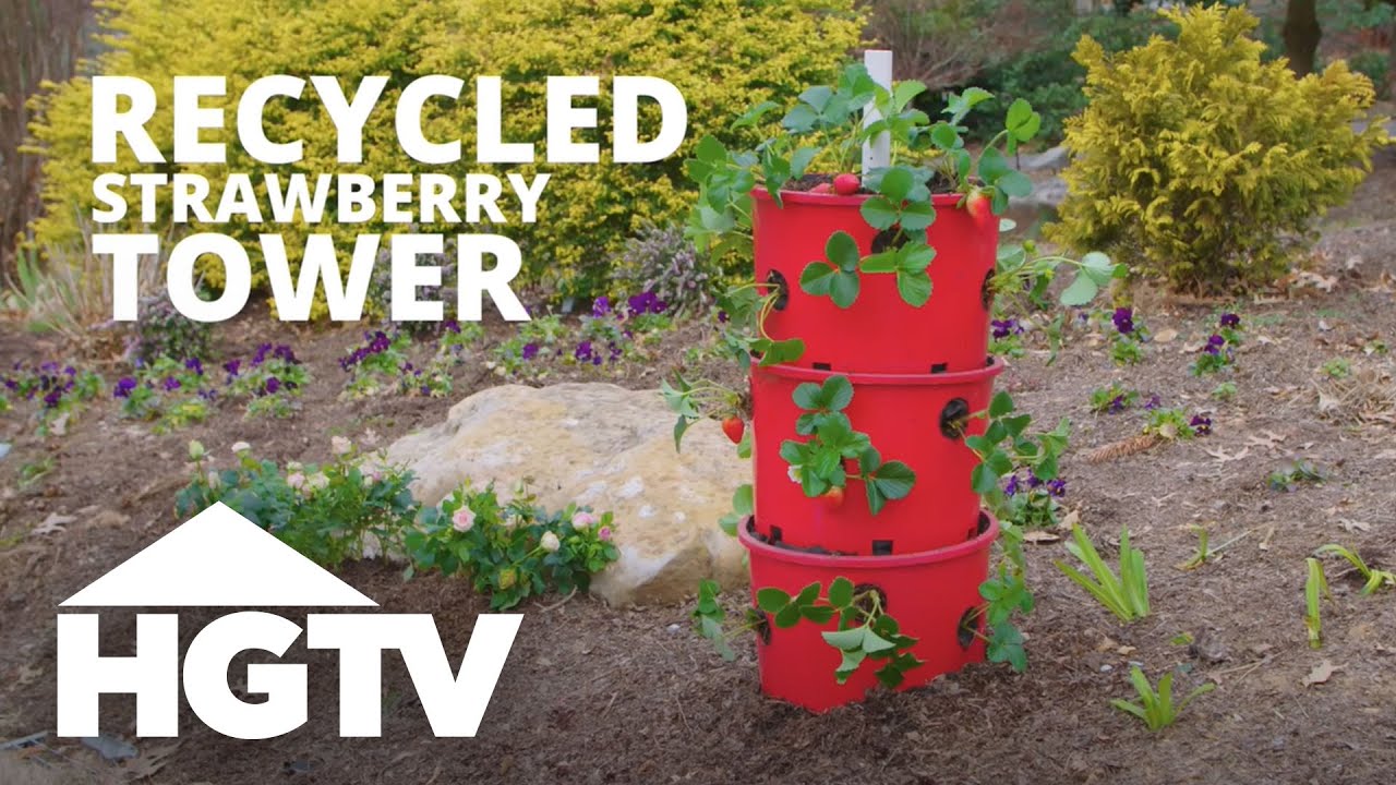 DIY Recycled Strawberry Tower | HGTV - YouTube