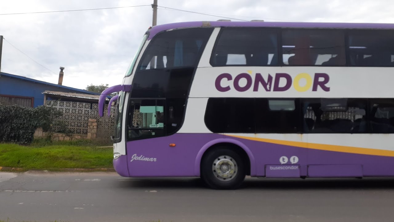 Bus Condor Bus 2299 - YouTube