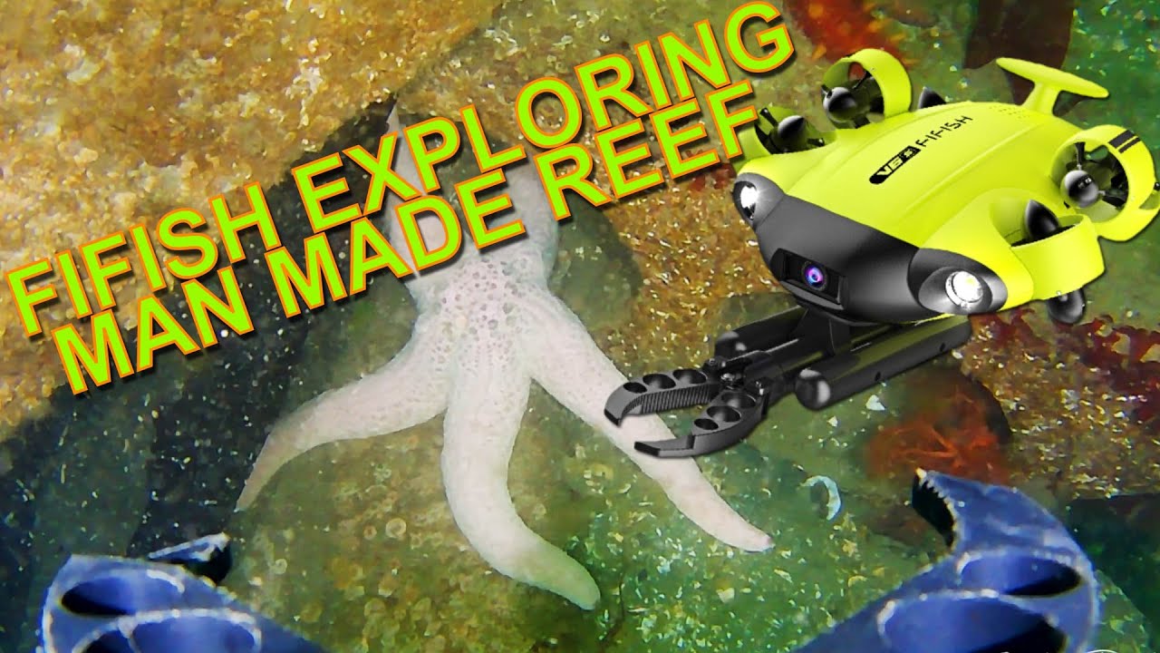 Fifish V6s Exploring Man Made Fish Habitat AND.. We found a few ...