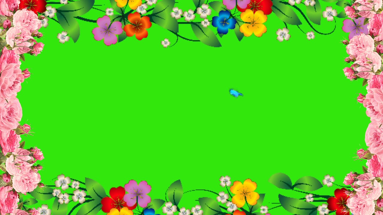 FLOWER BORDER GREEN SCREEN WITH BUTTERFLY - YouTube