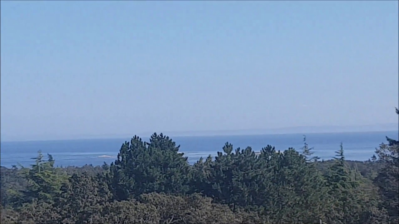 Mount Tolmie Victoria, BC August 19, 2019 - YouTube