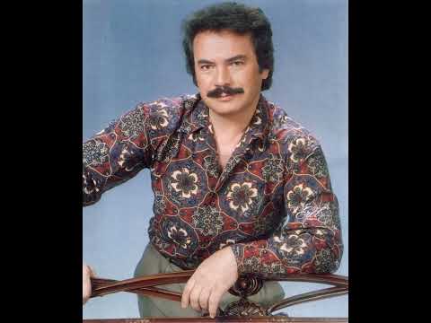Orhan Gencebay - İpek Böceği (enstrümantal versiyon & vokal mix)