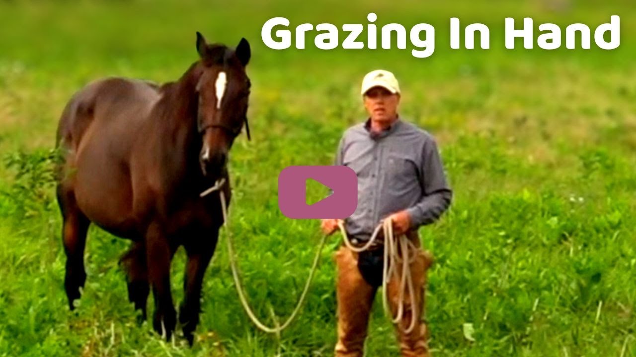 Groundwork and Grazing The Perfect Combination - YouTube