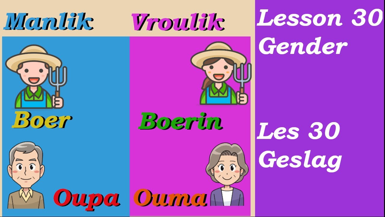Learn Afrikaans for Beginners | Gender | Geslag | Lesson 30 - YouTube