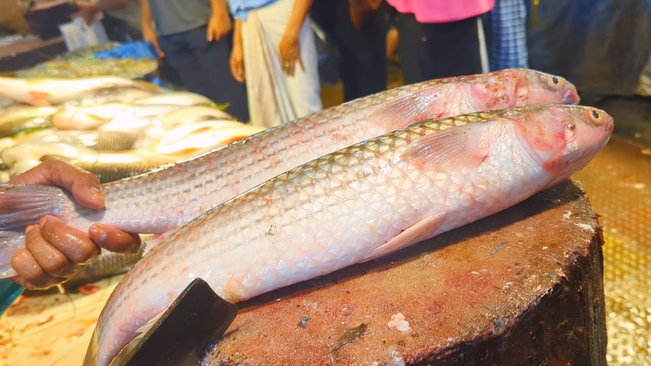 Amazing Cotton Skills Live in Fish Market Khoral Bata Fish Cutting ...