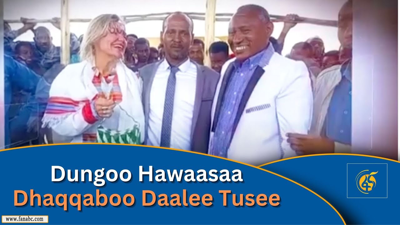 Dungoo Hawaasaa: Dhaqqaboo Daalee Tusee - YouTube