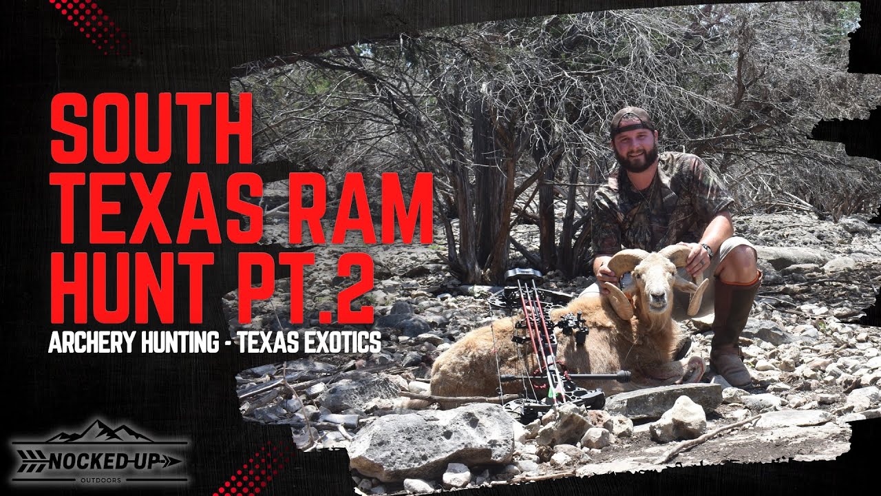 South Texas Ram Hunt EP. 2 - YouTube