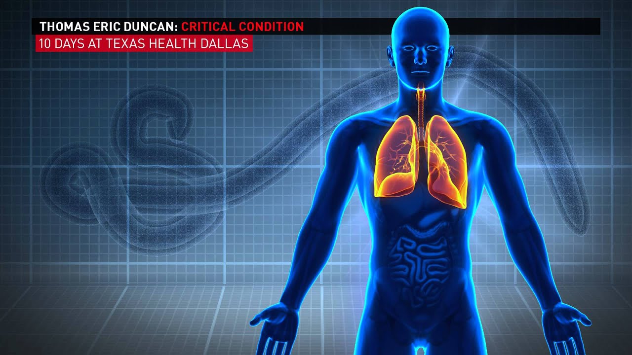 Gannett Graphics Reel- year 1 - YouTube