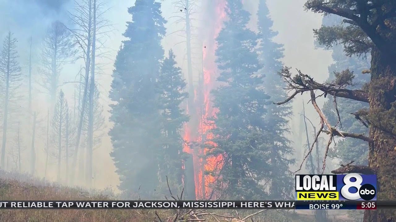 Sawtell Peak Fire mapped at 45 acres - YouTube