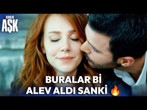 Aradığınız Defne Şu An Aşk Yaşamakla Meşgul ❤️‍🔥 | Kiralık Aşk